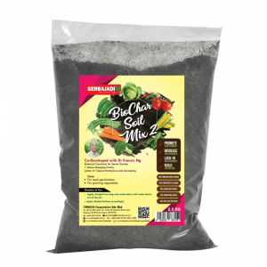 Home - MY Vegetable Patch