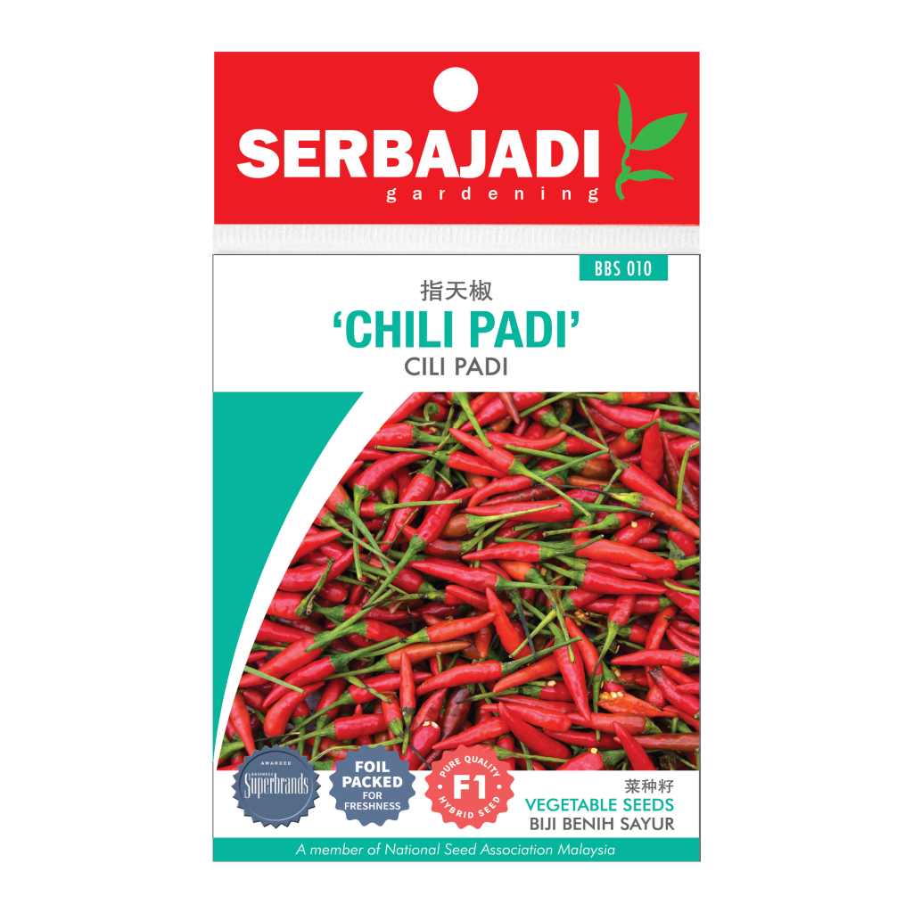 SERBAJADI Seeds F1 Hybrid Chilli Padi (Hot Pepper) – Cili Padi ( BBS010 ...